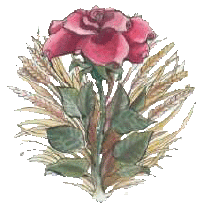 Chauntéa Inventory - Kanka