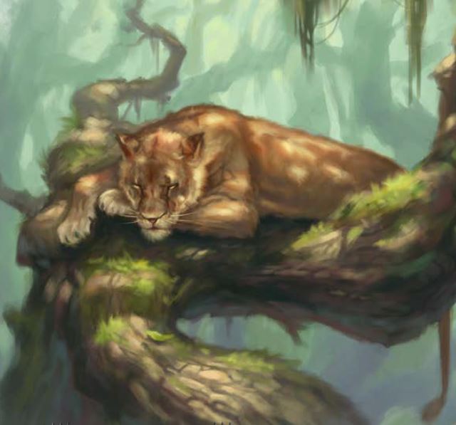 Harriet Connections - Kanka