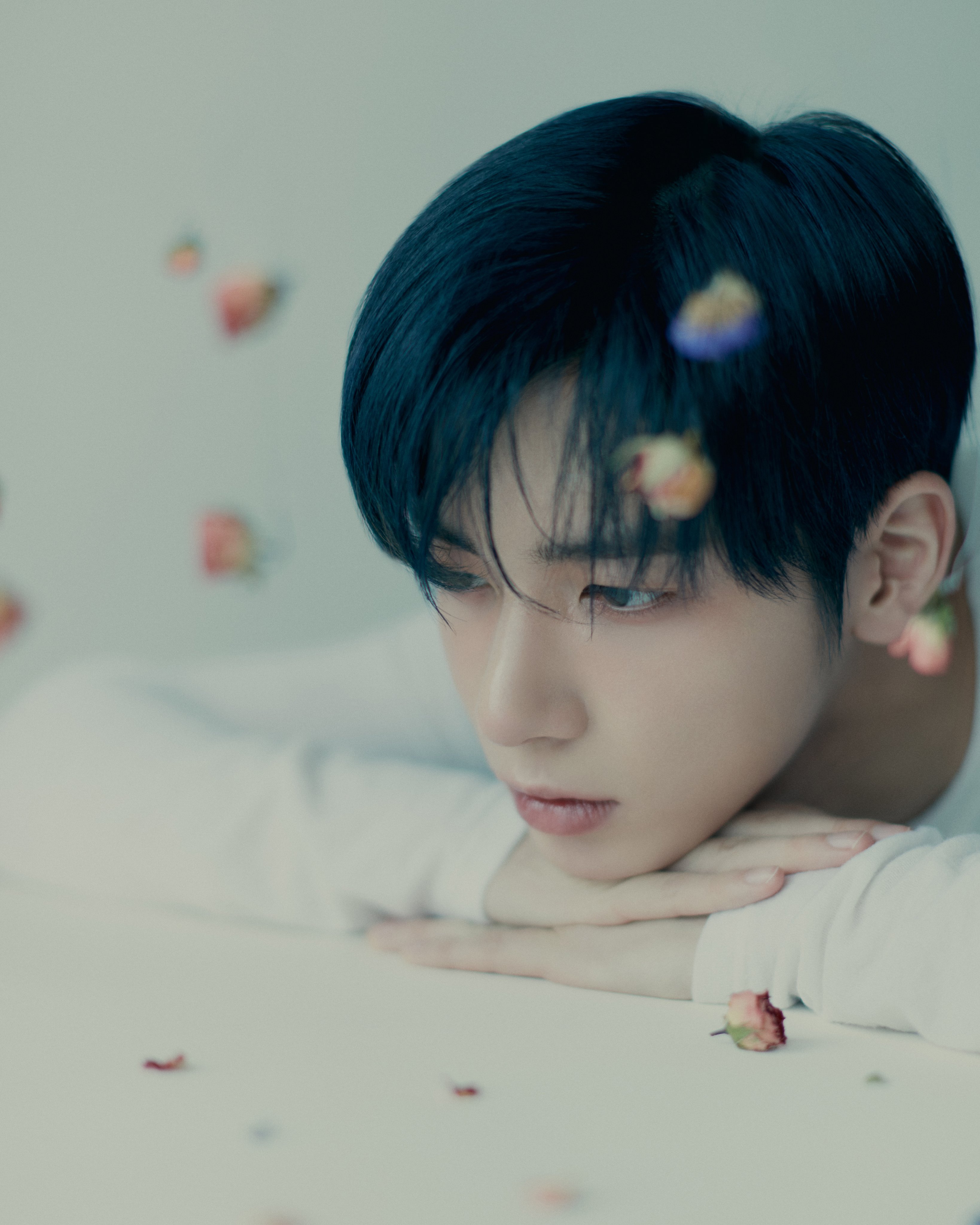 Aster - Characters - Kanka