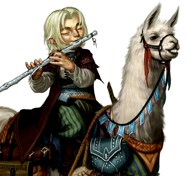 Flixin Flutterstep Connections - Kanka