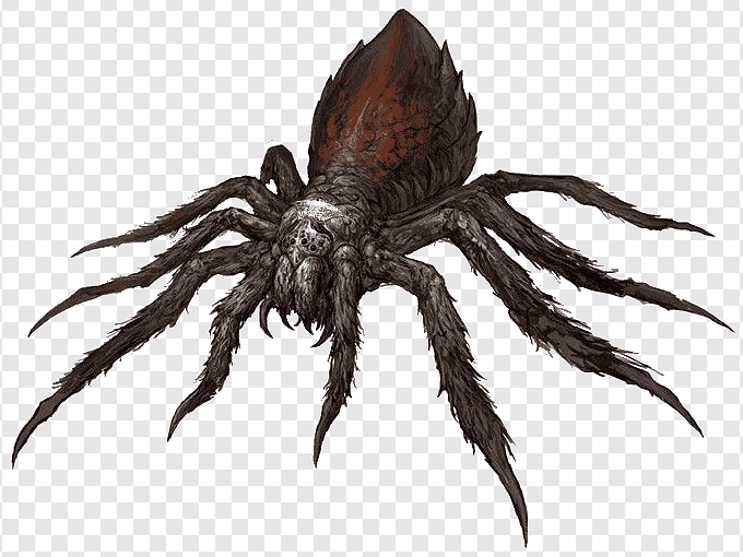 Аракны - Creatures - Kanka