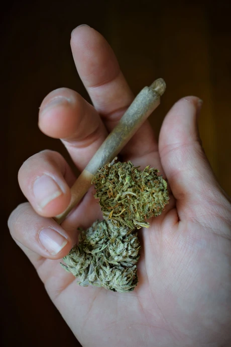 Dreamleaf - Objects - Kanka