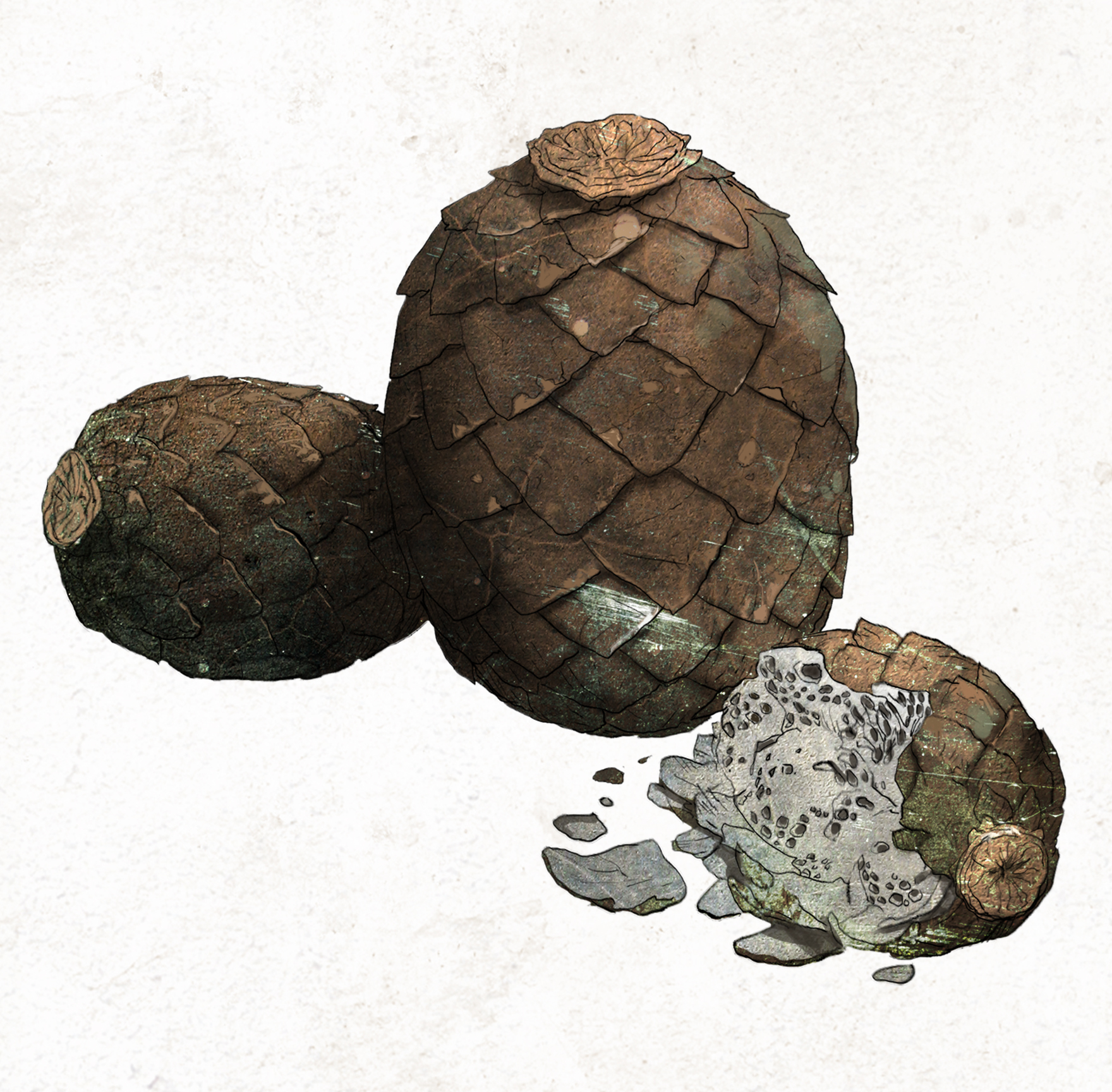 Argus - Objects - Kanka