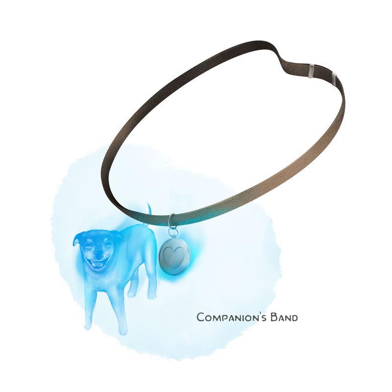 Companion's Band - Objects - Kanka