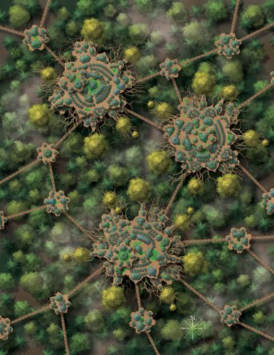 Akrivel - Locations - Kanka