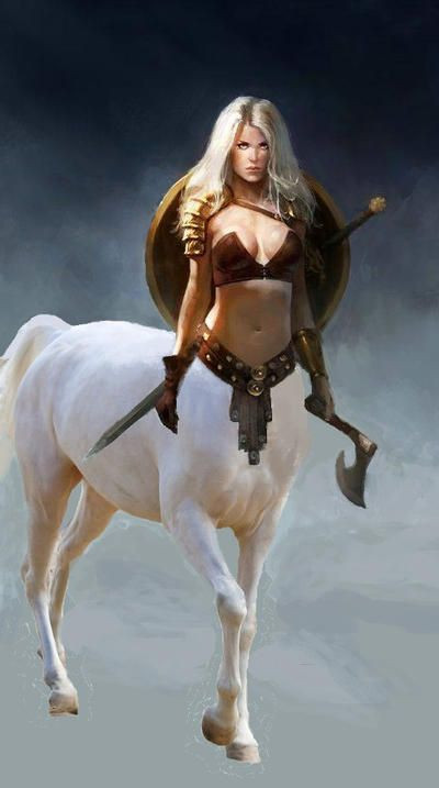 Centauro Inventory - Kanka