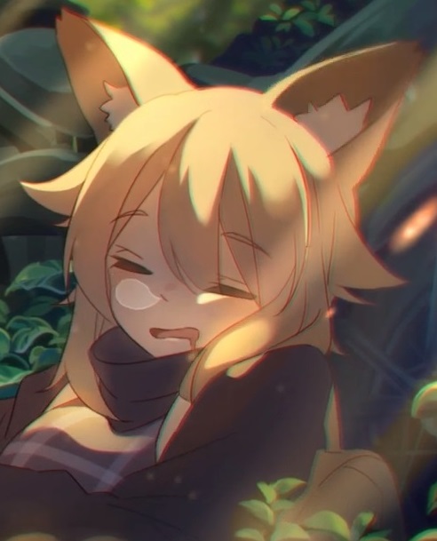 Velkan Inventory - Kanka